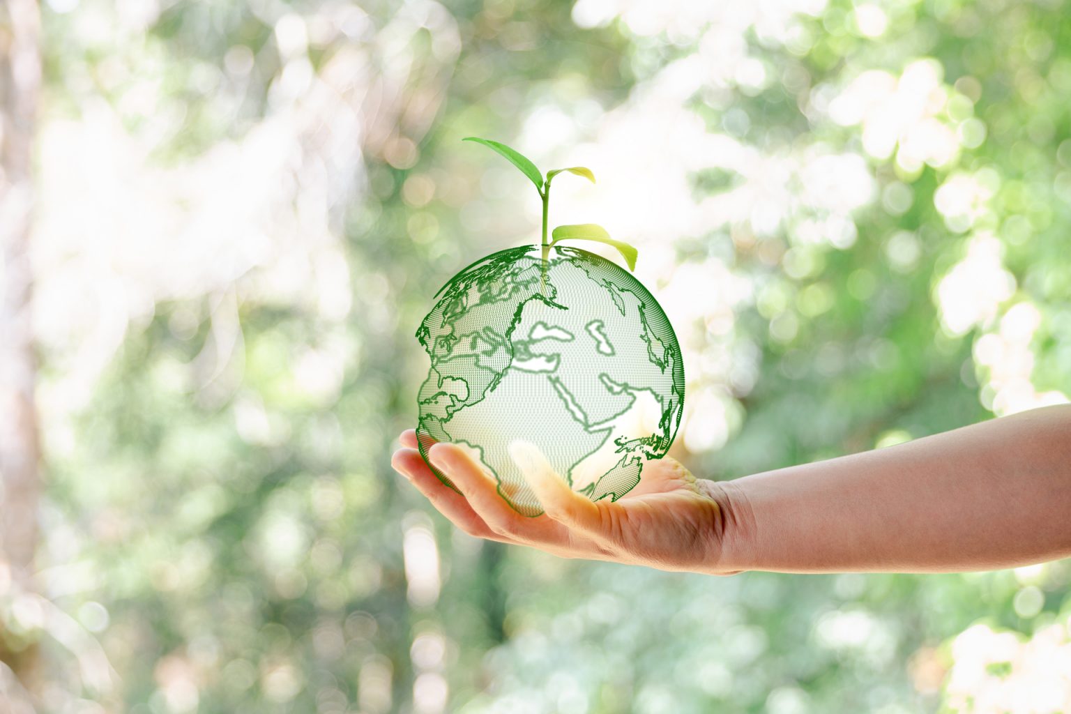 What is Environmental Law? Exploring Legal Protection for Our Planet ...